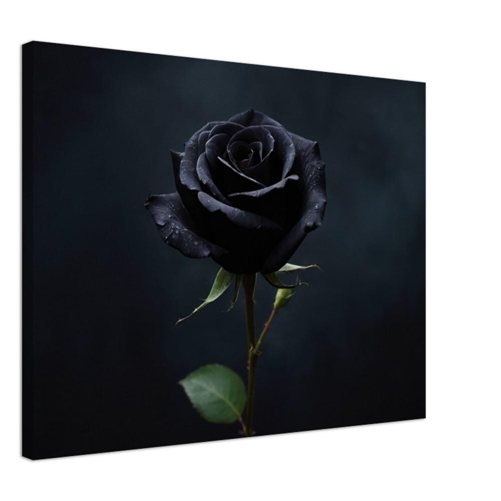 Black Rose on Canvas Elegant and Mysterious Artistic Print for Interior ...
