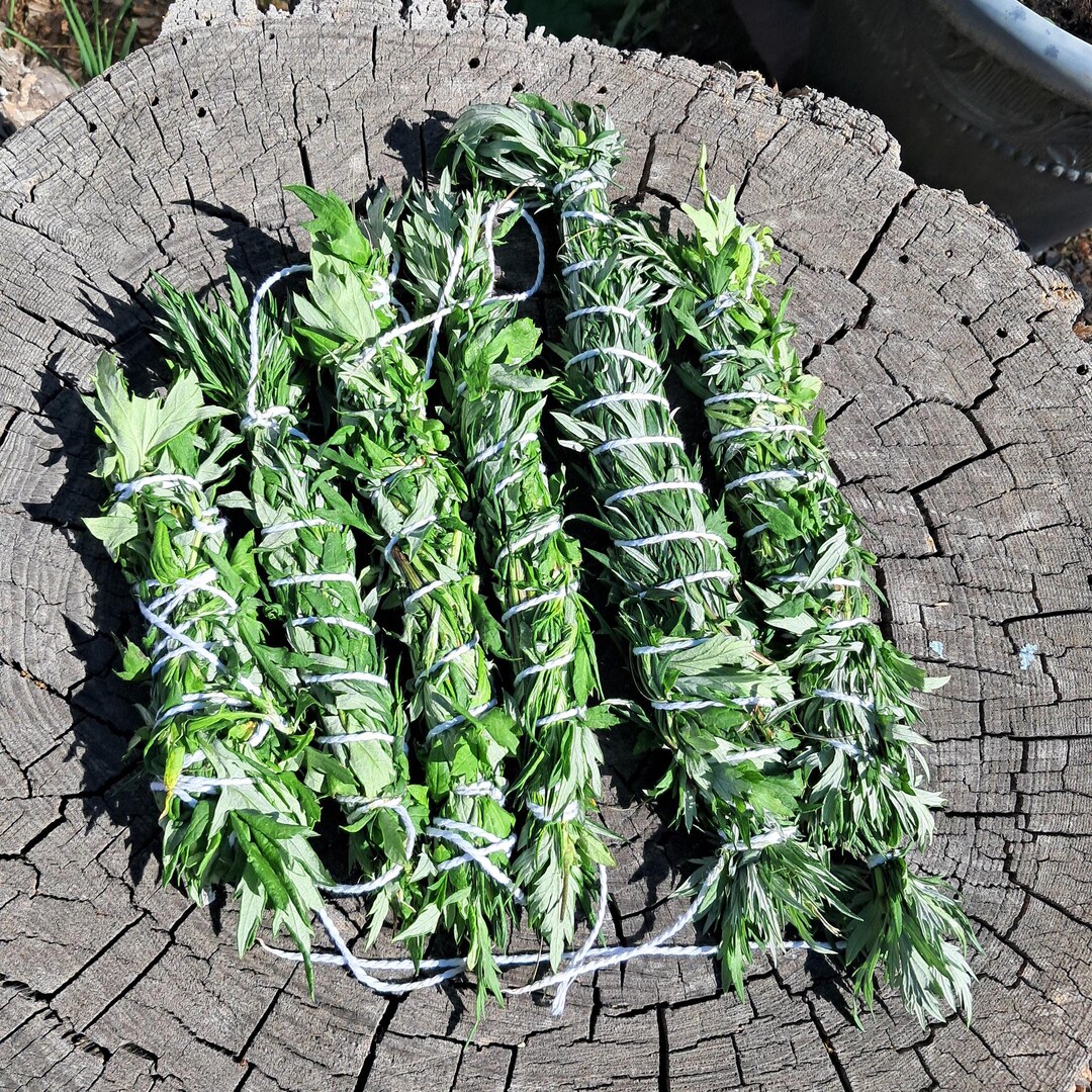 Mugwort Sticks Herbal Cleansing and Healing Natural Smudge Space ...