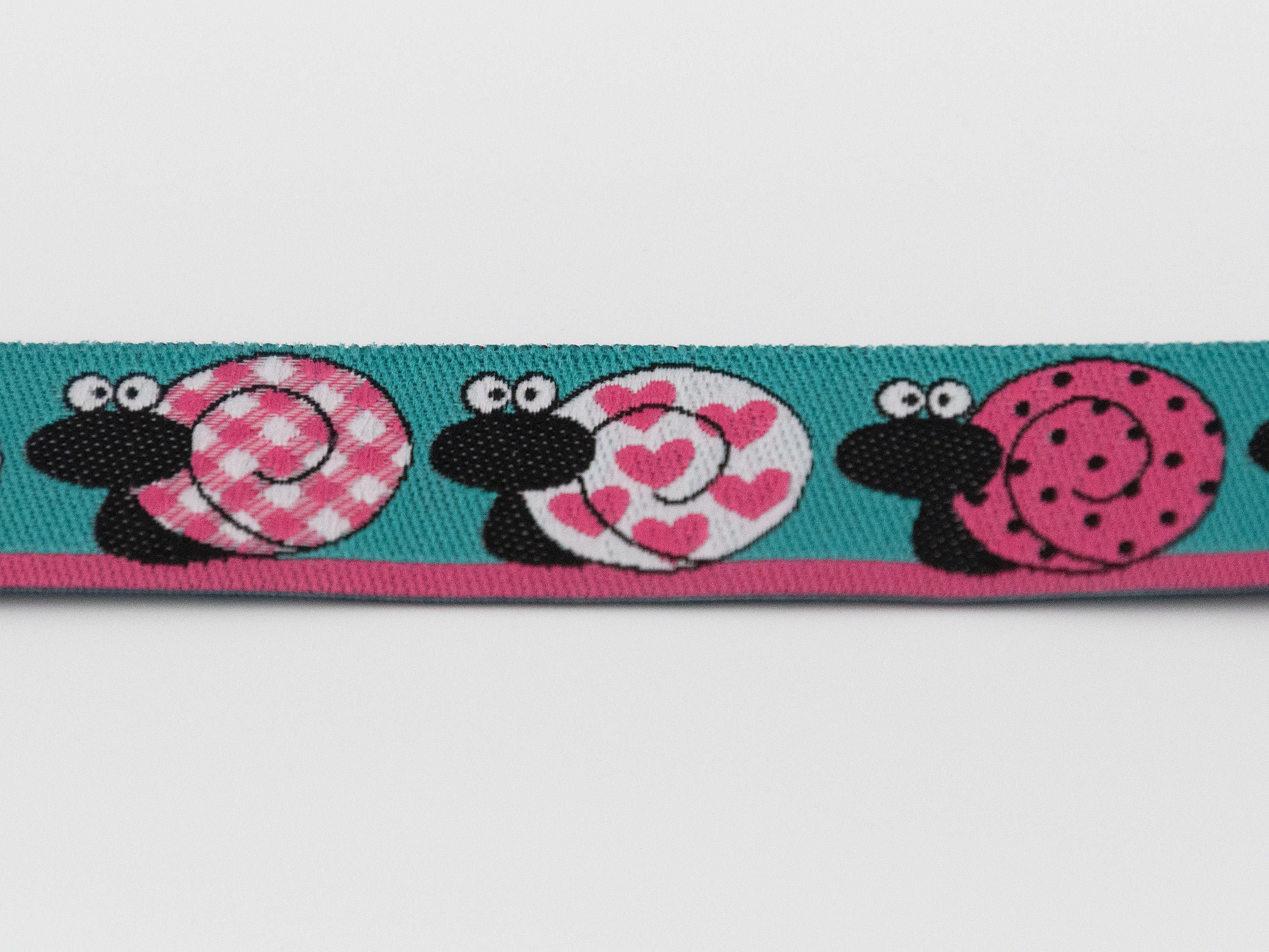 Colorful Googly Eyed Snails on Teal Ribbon - 9/16-inch Wide (15mm ...