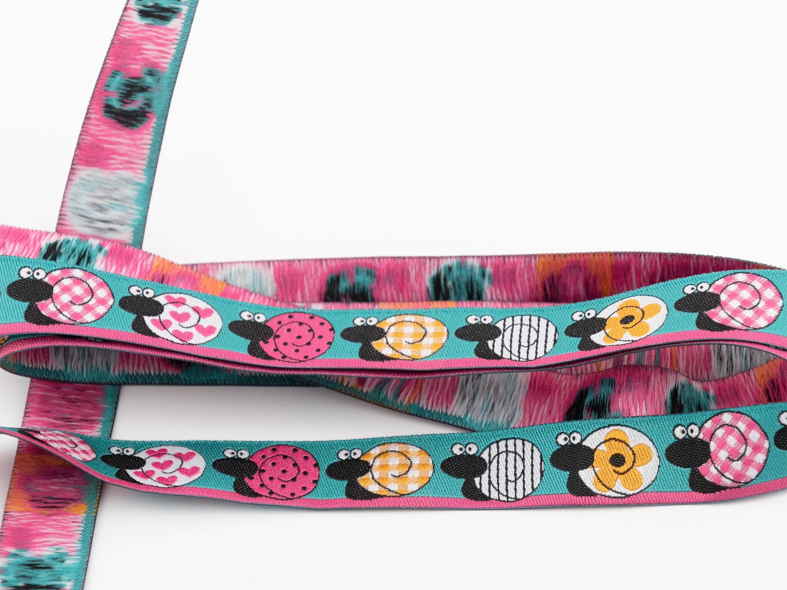 Colorful Googly Eyed Snails on Teal Ribbon - 9/16-inch Wide (15mm ...