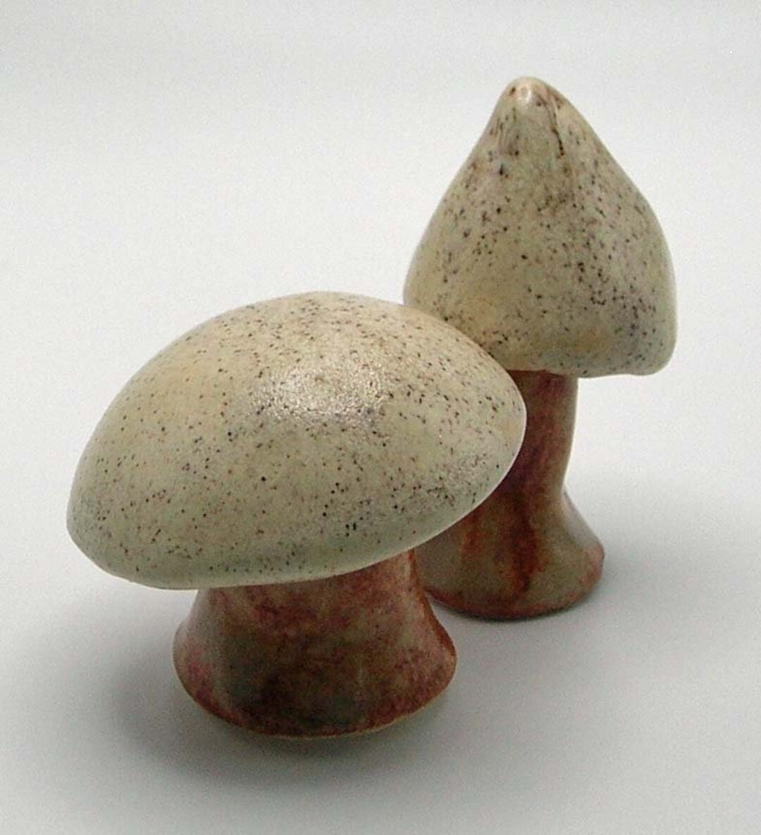 Spotted Cap and Rusty Porcelain Mushrooms - Etsy