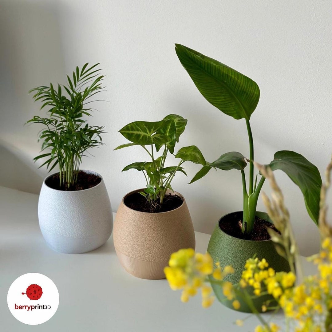 Modern Flower Pot / Sustainable Plant Pot With Stylish Design / Home ...