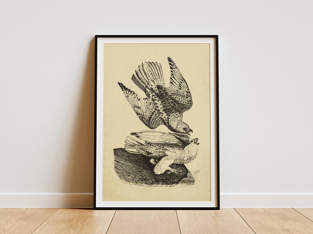 Hawks Vintage Poster Retro Decor Art Aesthetic Wall Art Vertical Print ...