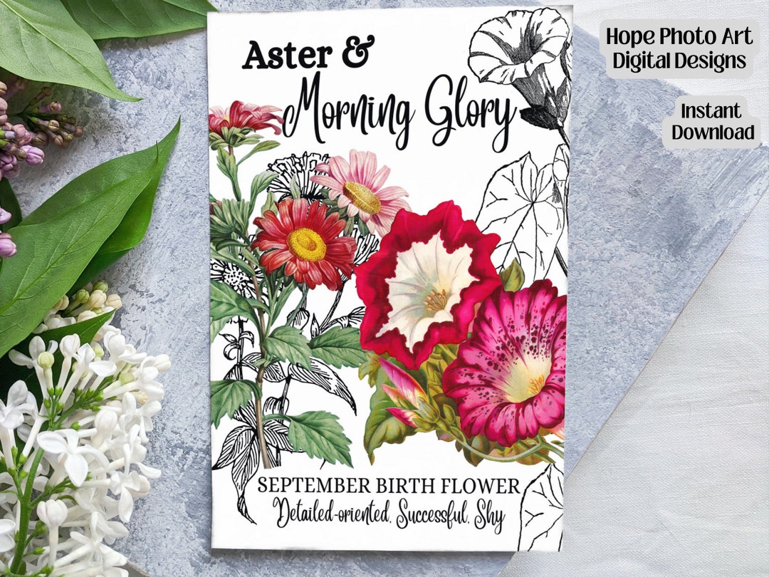 September Birth Flower, 5x7 Card Kit, Birthday Flower Card, Junk ...