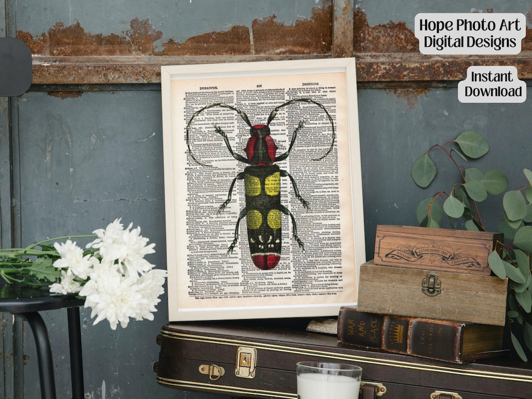 Beetle Bug Digital Print, Insect, Gothic, Dictionary, Iron on Transfer ...