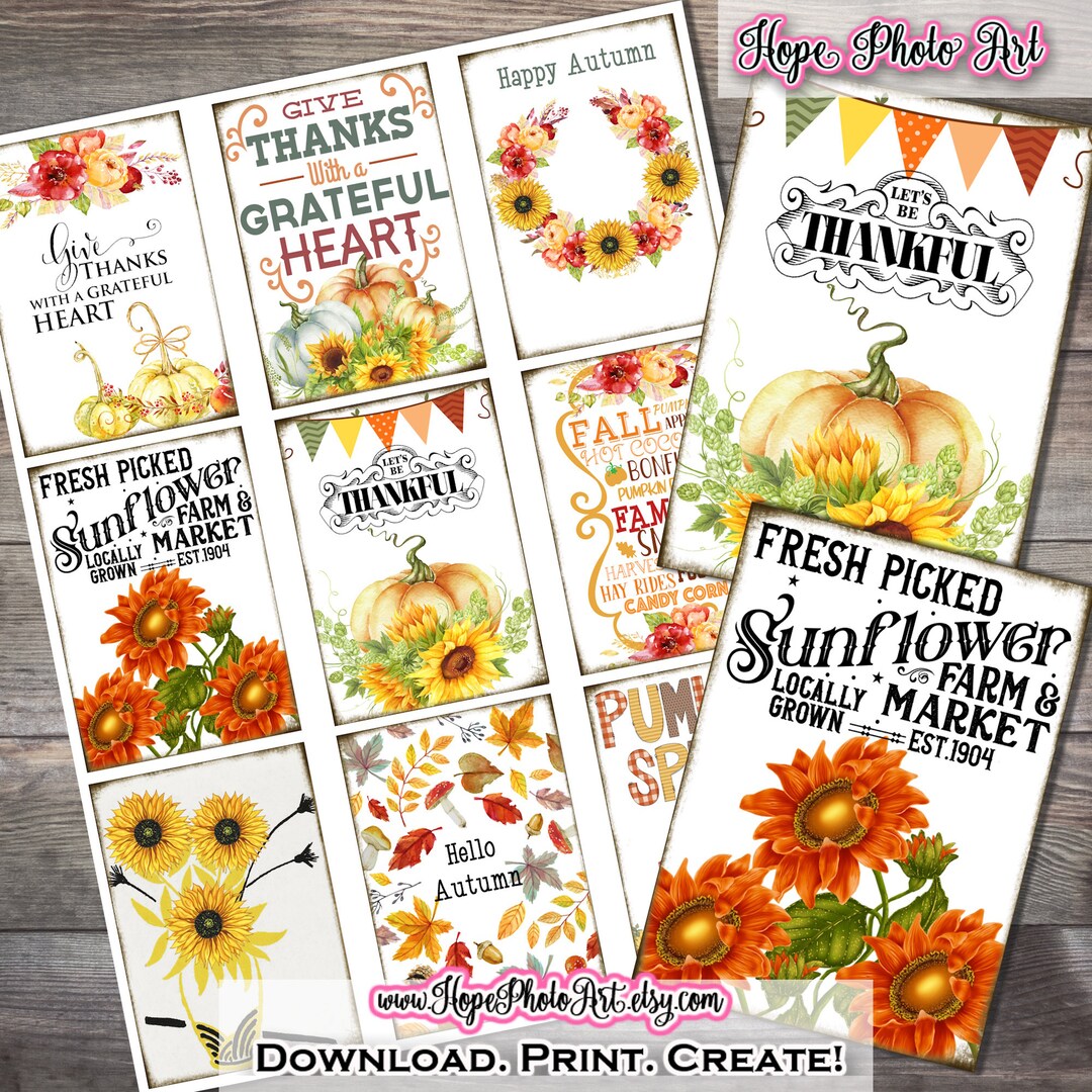 Autumn Sunflower Cards, Farmhouse, Cottage Roses, Pumpkin Spice, Junk ...
