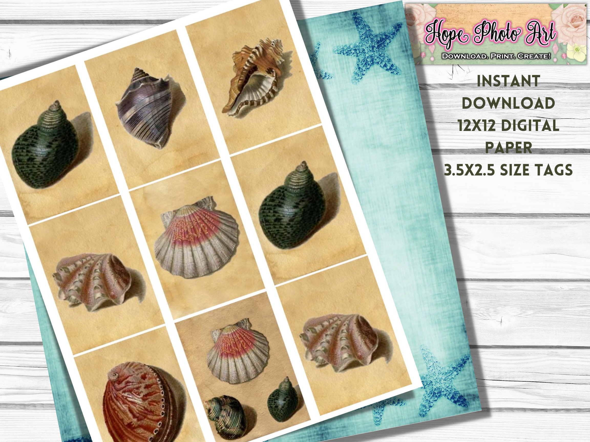 Printable Seashells Tags W/matching Digital Paper Junk - Etsy