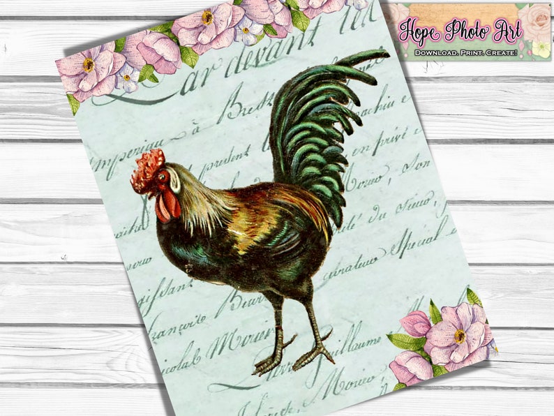 Printable Rooster French Wall Art Country Farmhouse Digital - Etsy