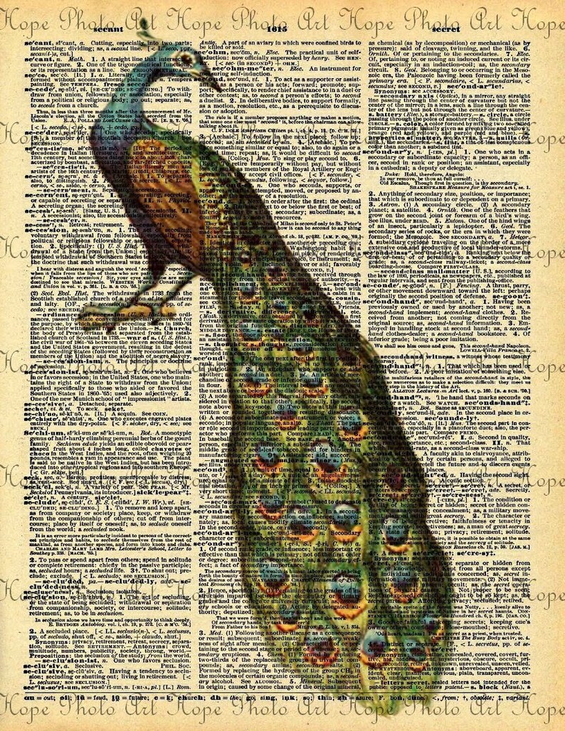 Printable Peacock Dictionary Digital Collage Sheet Iron on | Etsy
