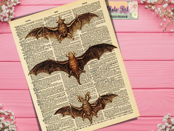 Printable Bats Dictionary Halloween Ephemera Digital | Etsy
