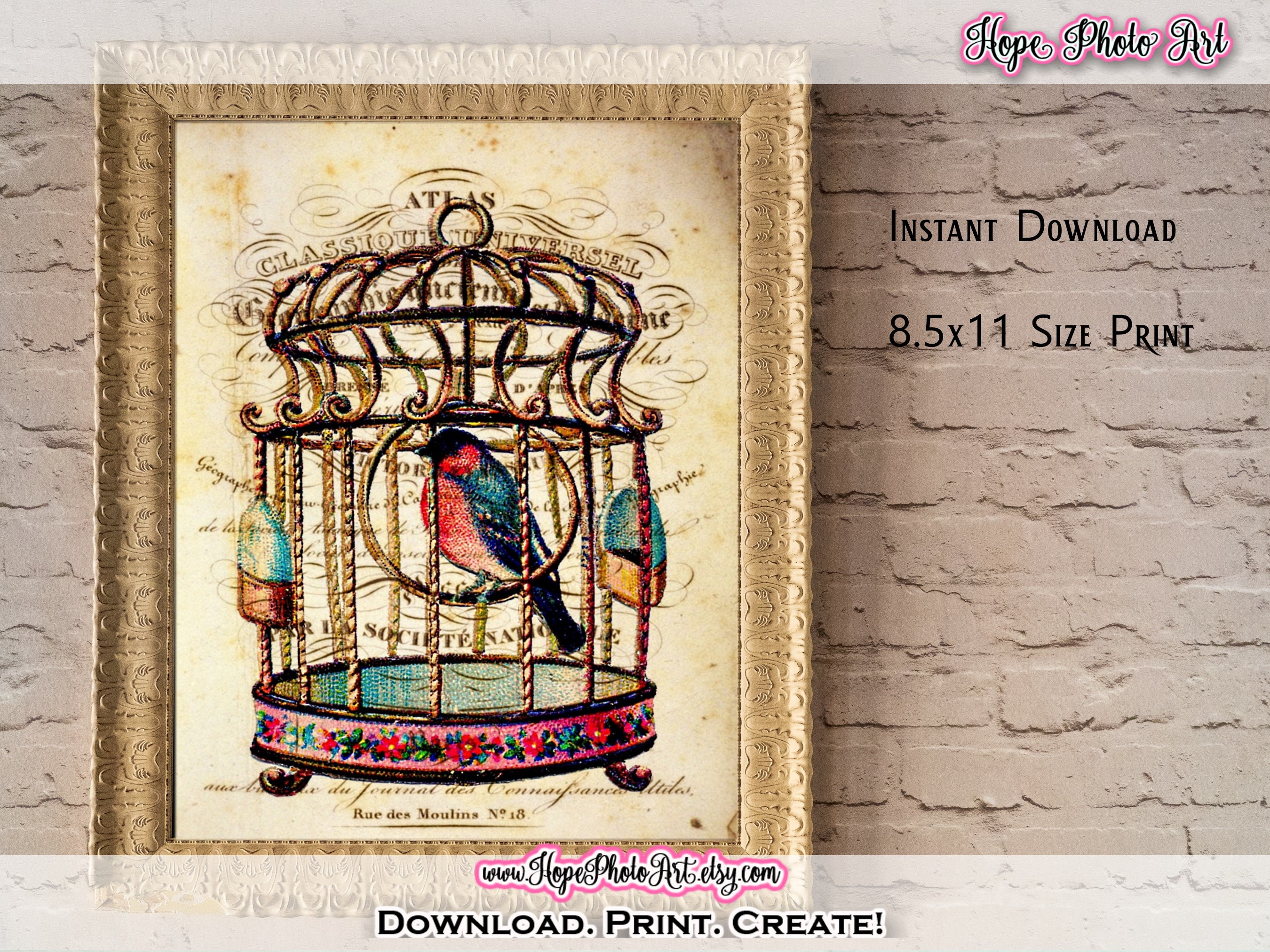 Vintage Bird Cage Art