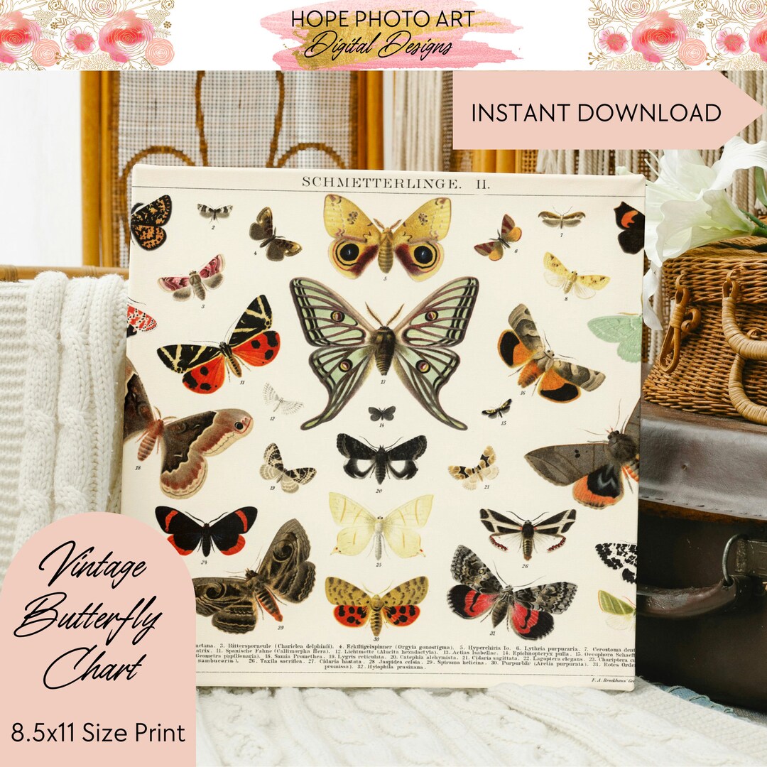 Vintage Butterfly Chart, Decoupage Paper, Digital Print, Monarch ...