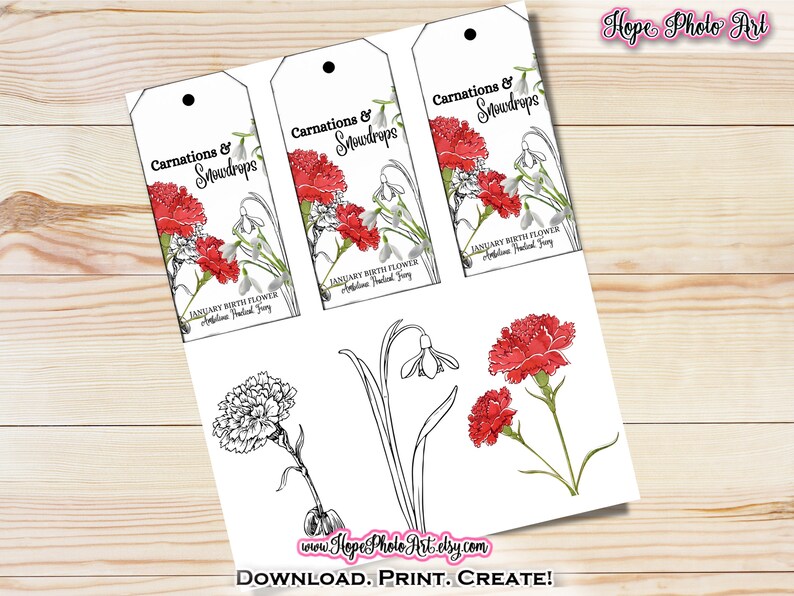 January Birth Flower, 5x7 Card Kit, Birthday Flower Card, Wildflowers ...
