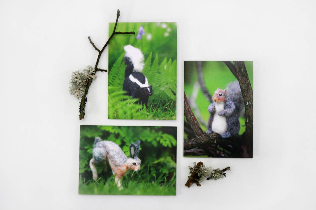 Set of 3 Woodland Animal Greeting Cards, Blank Card Set, Spring ...