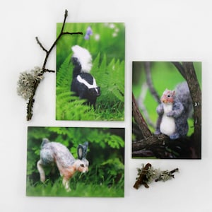 Set of 3 Woodland Animal Greeting Cards, Blank Card Set, Spring ...