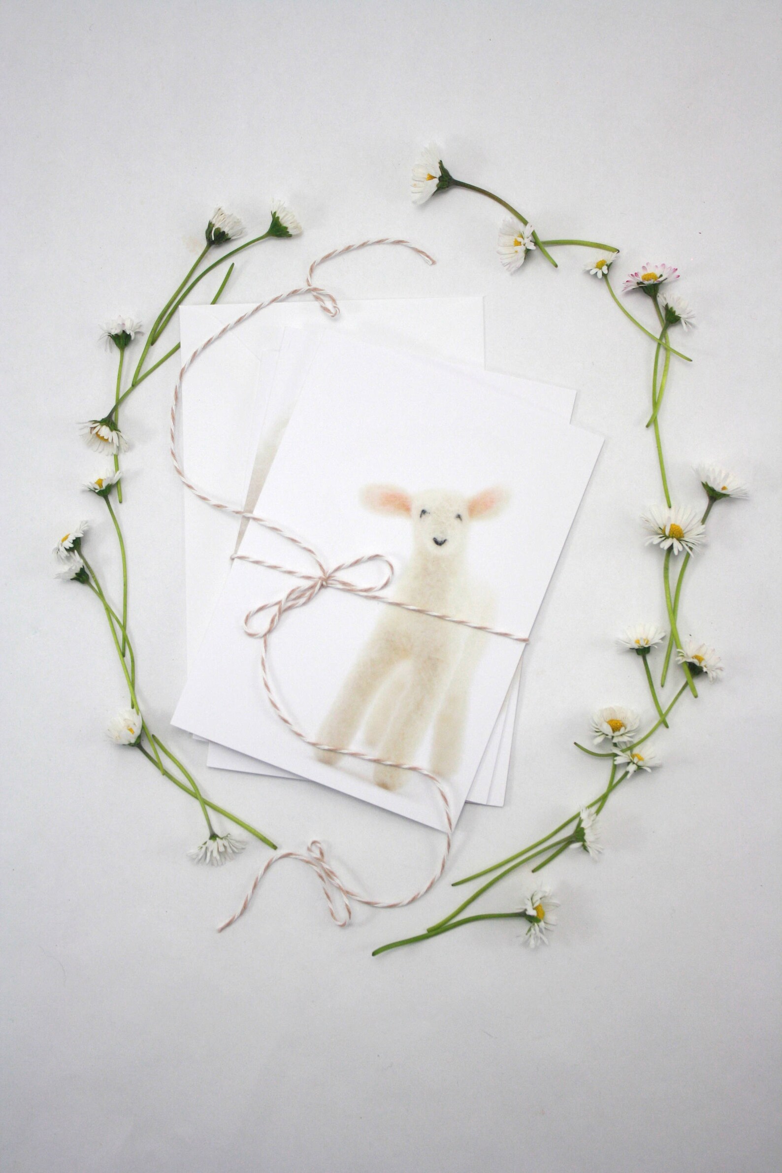 Set of 3 Lamb Greeting Cards, Blank Card Set, Spring, Birthday or Any ...