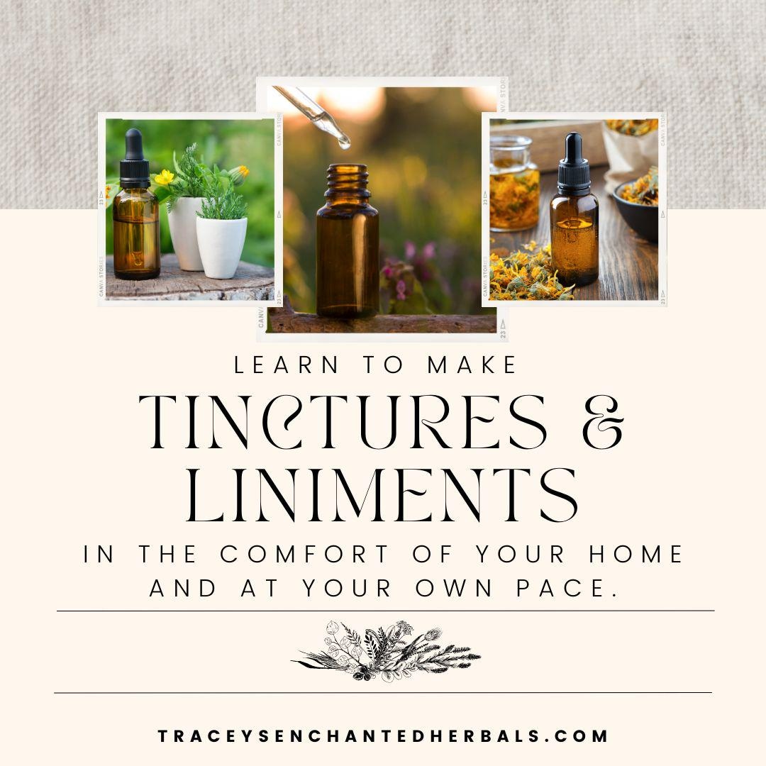 Herbal Tincture & Liniment Guide: Natural Remedies Workbook (digital ...