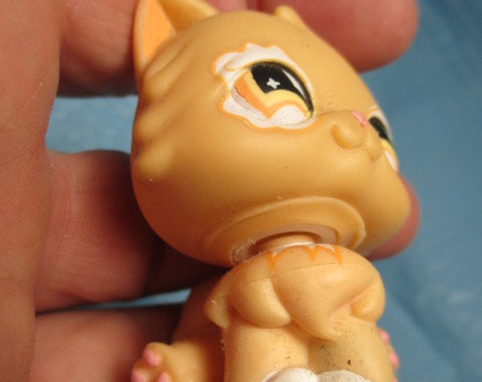Littlest Pet Shop Lps 490 Peach & White Persian Cat Diamond Eyes ...