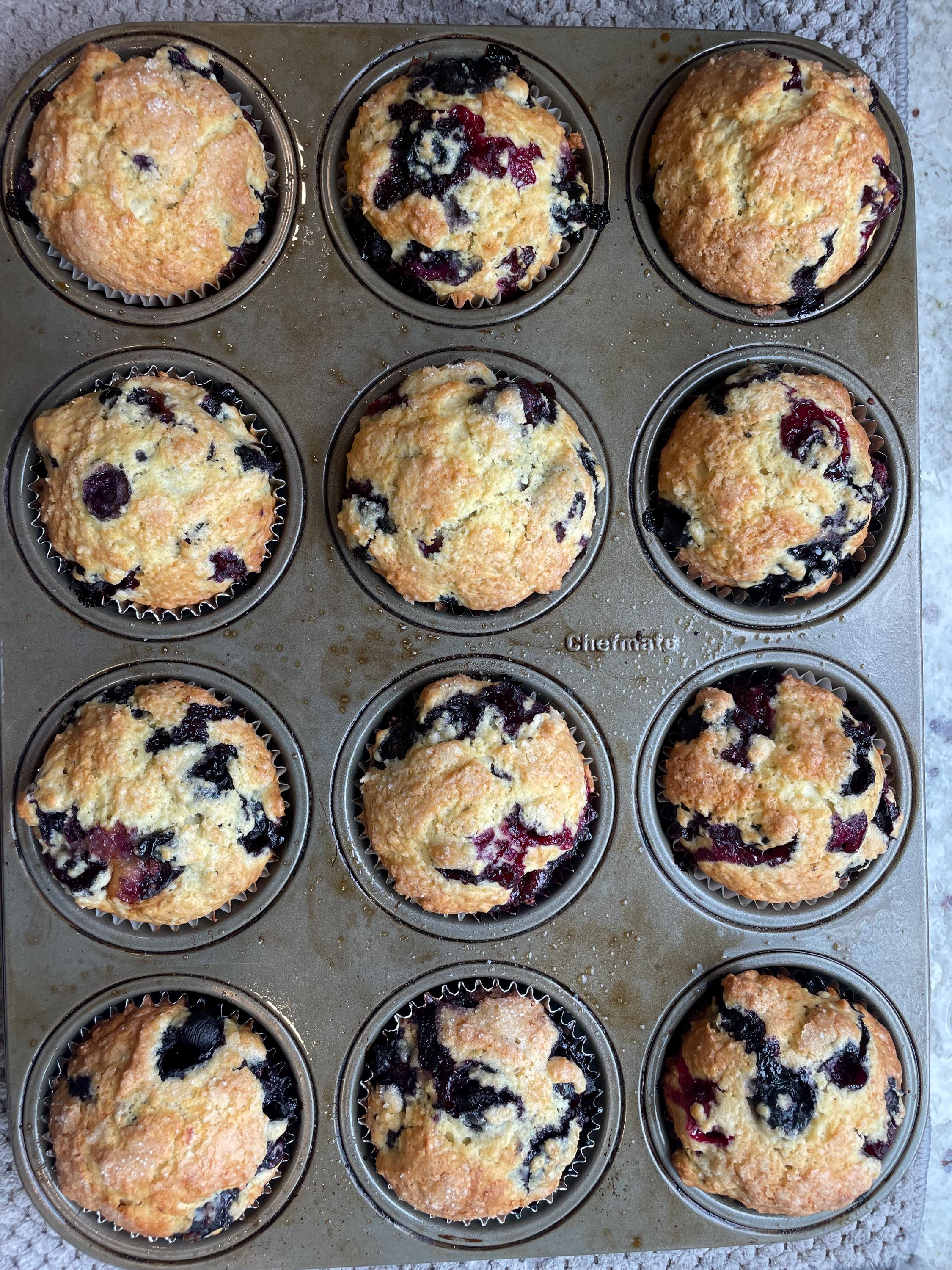 Famous Blueberry Muffins - Etsy