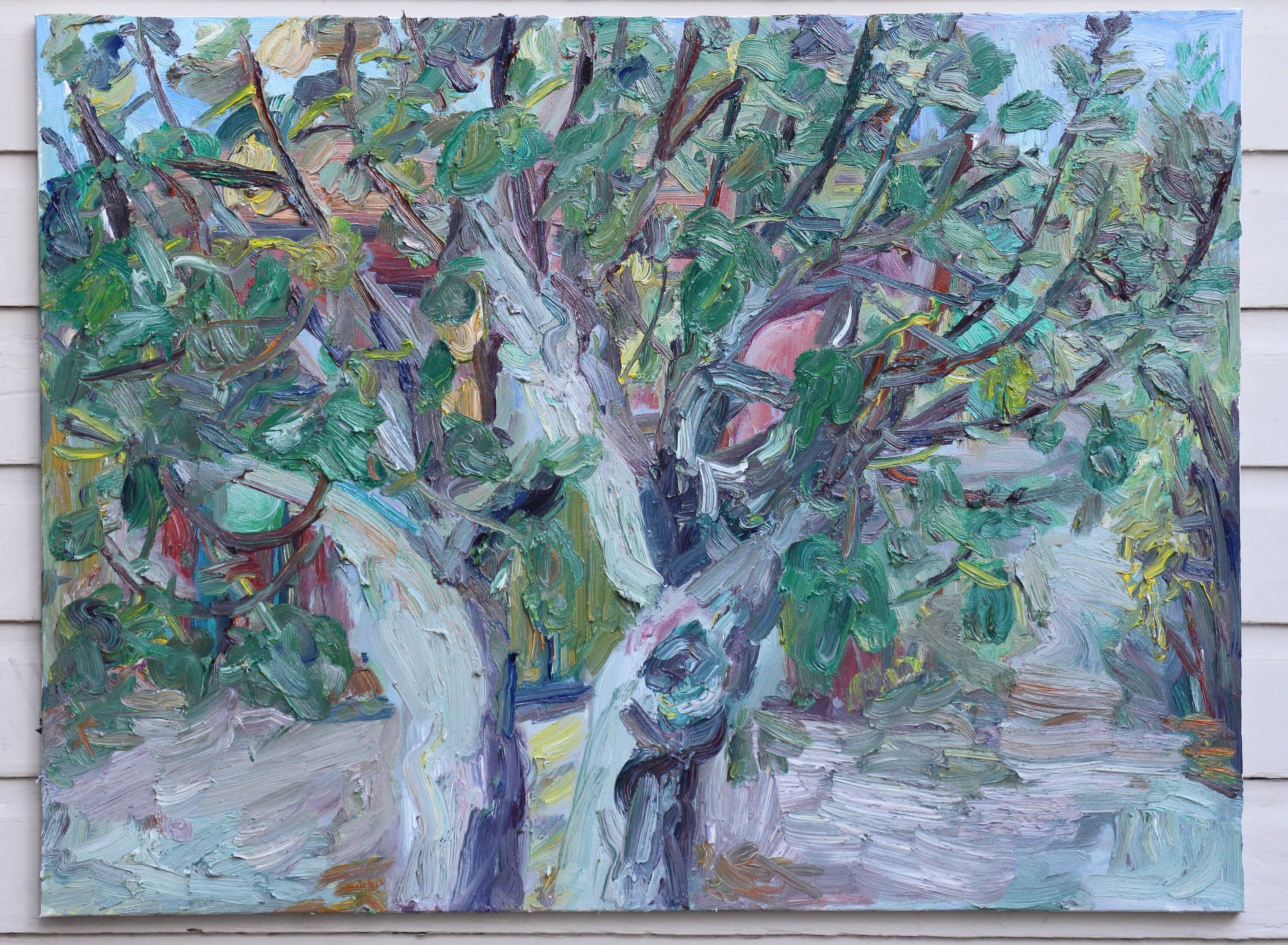 Fig Tree in Quarantine - Etsy