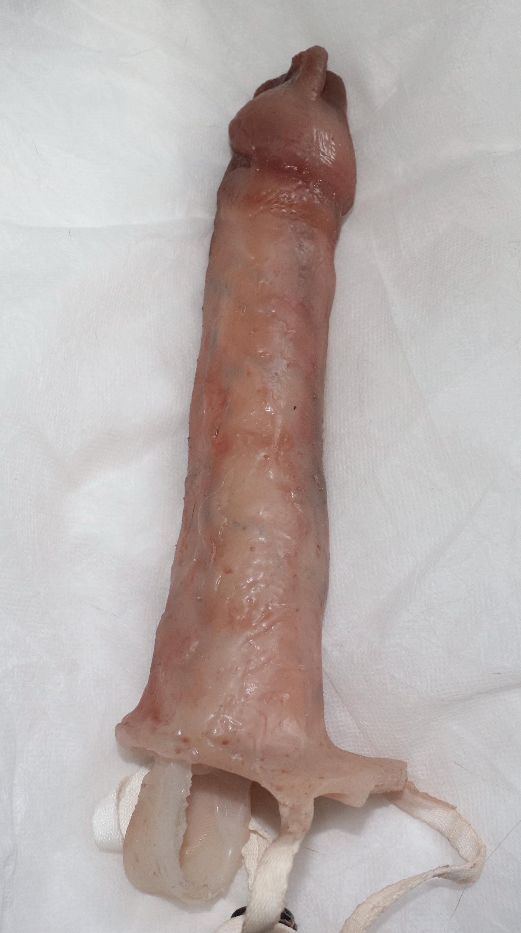 Mature 8 Inch Uncircumcised FTM Extension Realistic Transgender ...