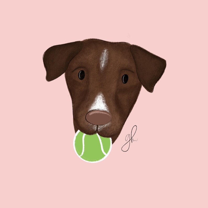 PET PORTRAIT- Face Only - Etsy