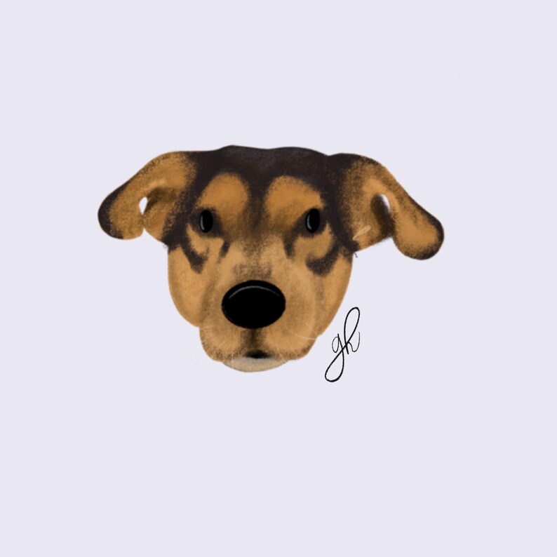 PET PORTRAIT- Face Only - Etsy