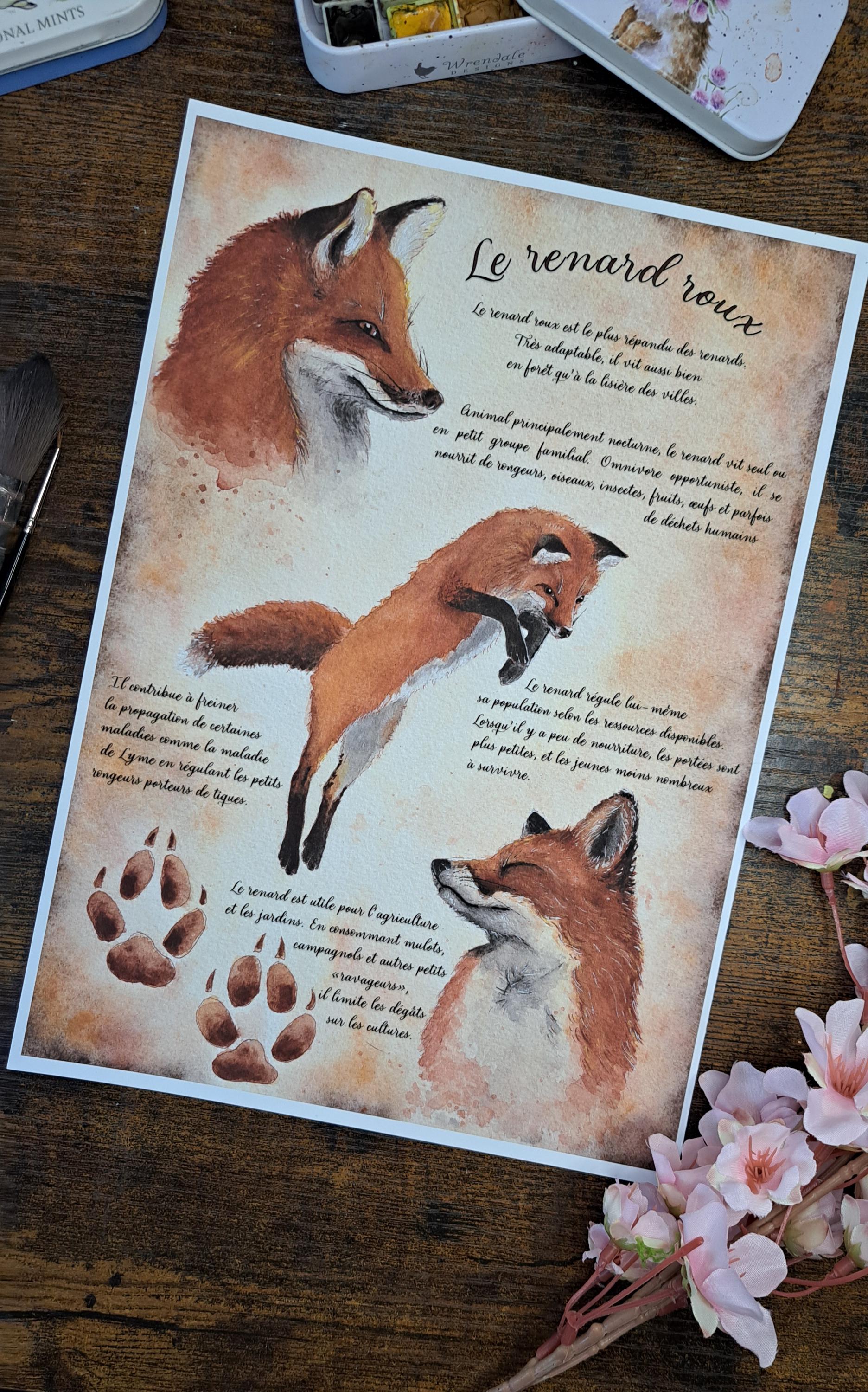 Affiche aquarelle la planche du renard - Etsy France