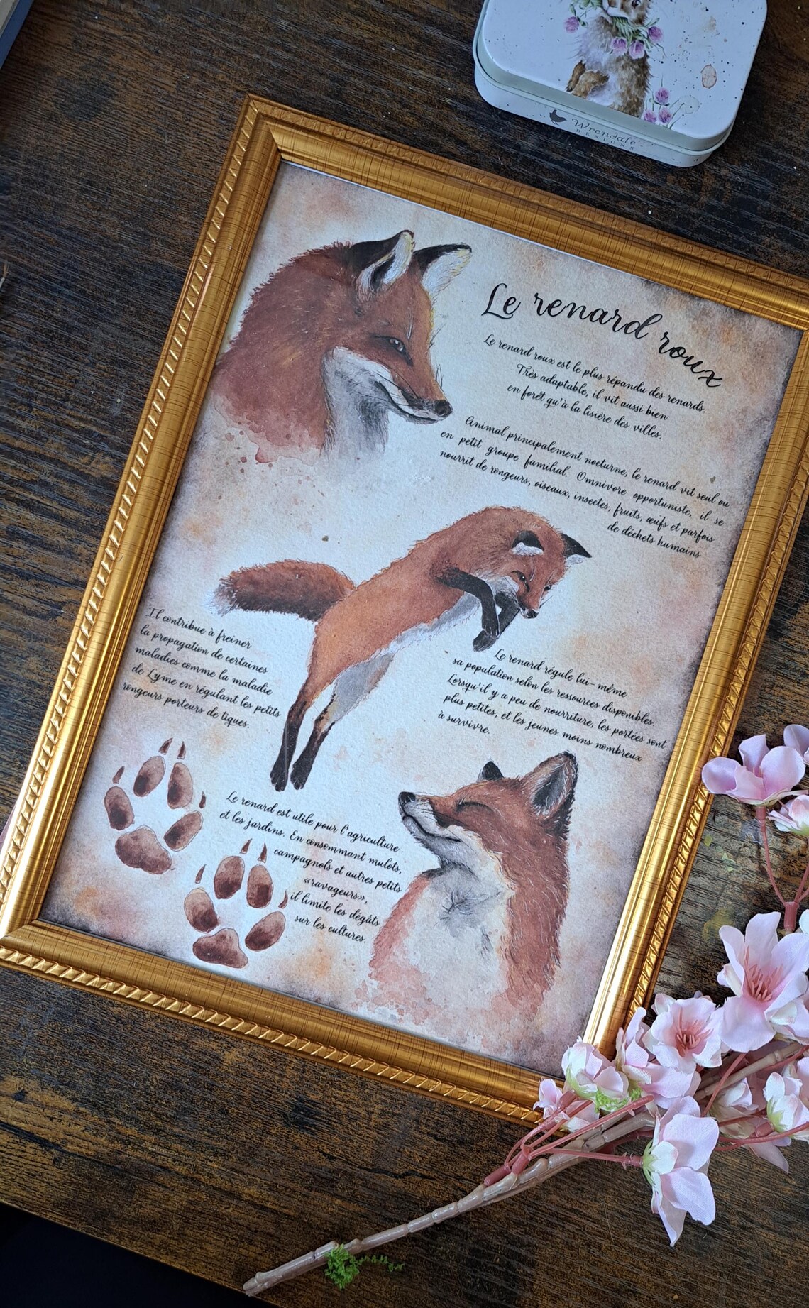 Affiche aquarelle la planche du renard - Etsy France