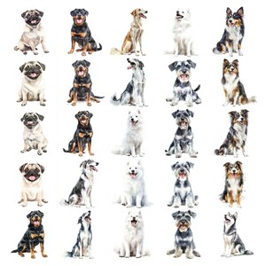 75 PNG Dog Breeds Clipart, Cute Puppy Illustrations, Pet Lover Graphics ...