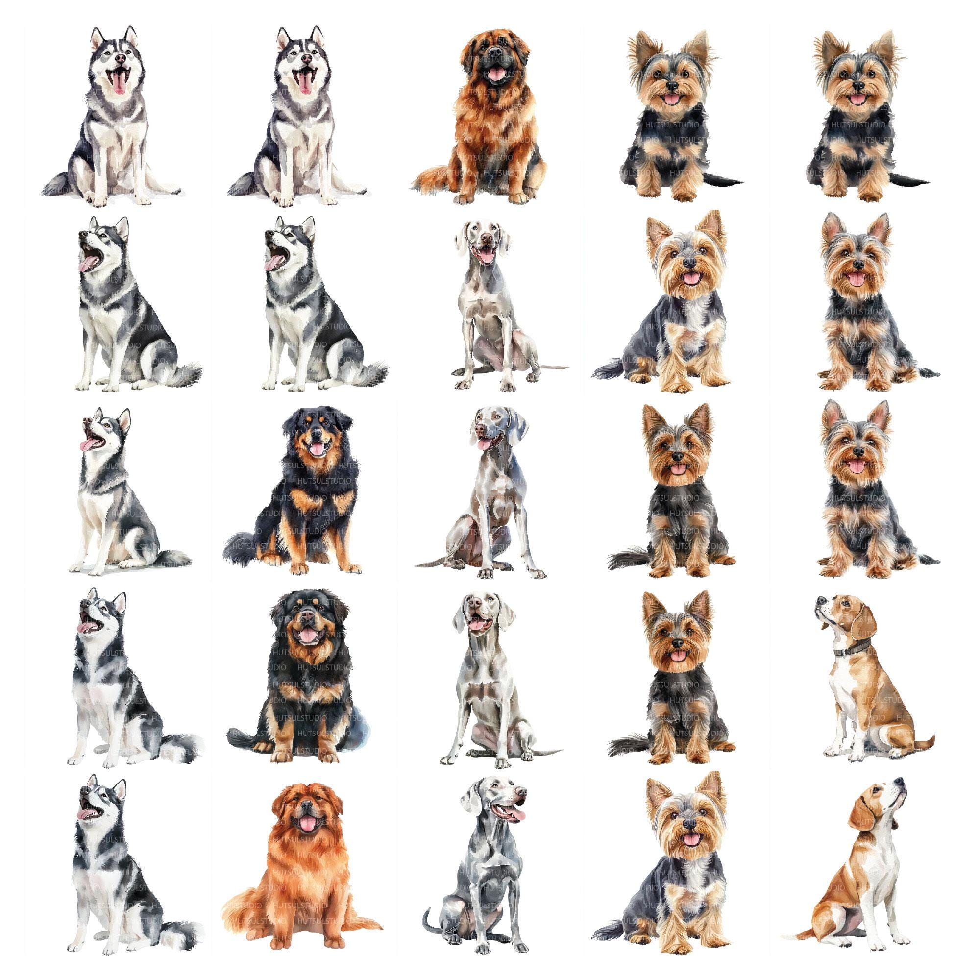 75 PNG Dog Breeds Clipart, Cute Puppy Illustrations, Pet Lover Graphics ...