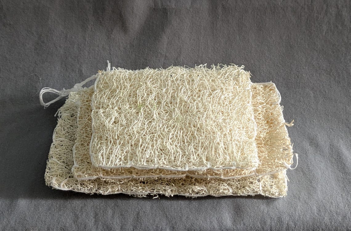 Luffa Sponges Set - Etsy
