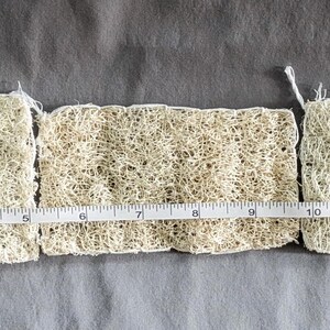 Luffa Sponges Set - Etsy