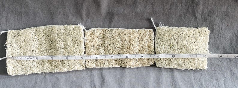 Luffa Sponges Set - Etsy
