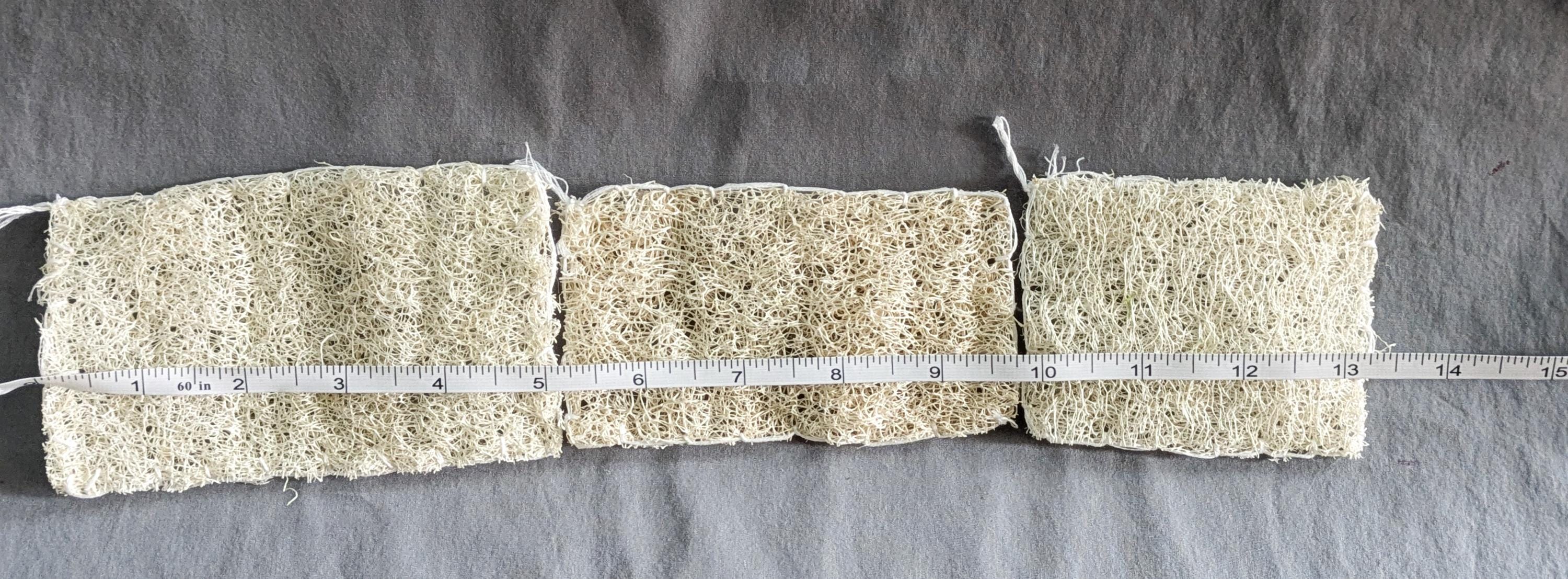 Luffa Sponges Set - Etsy
