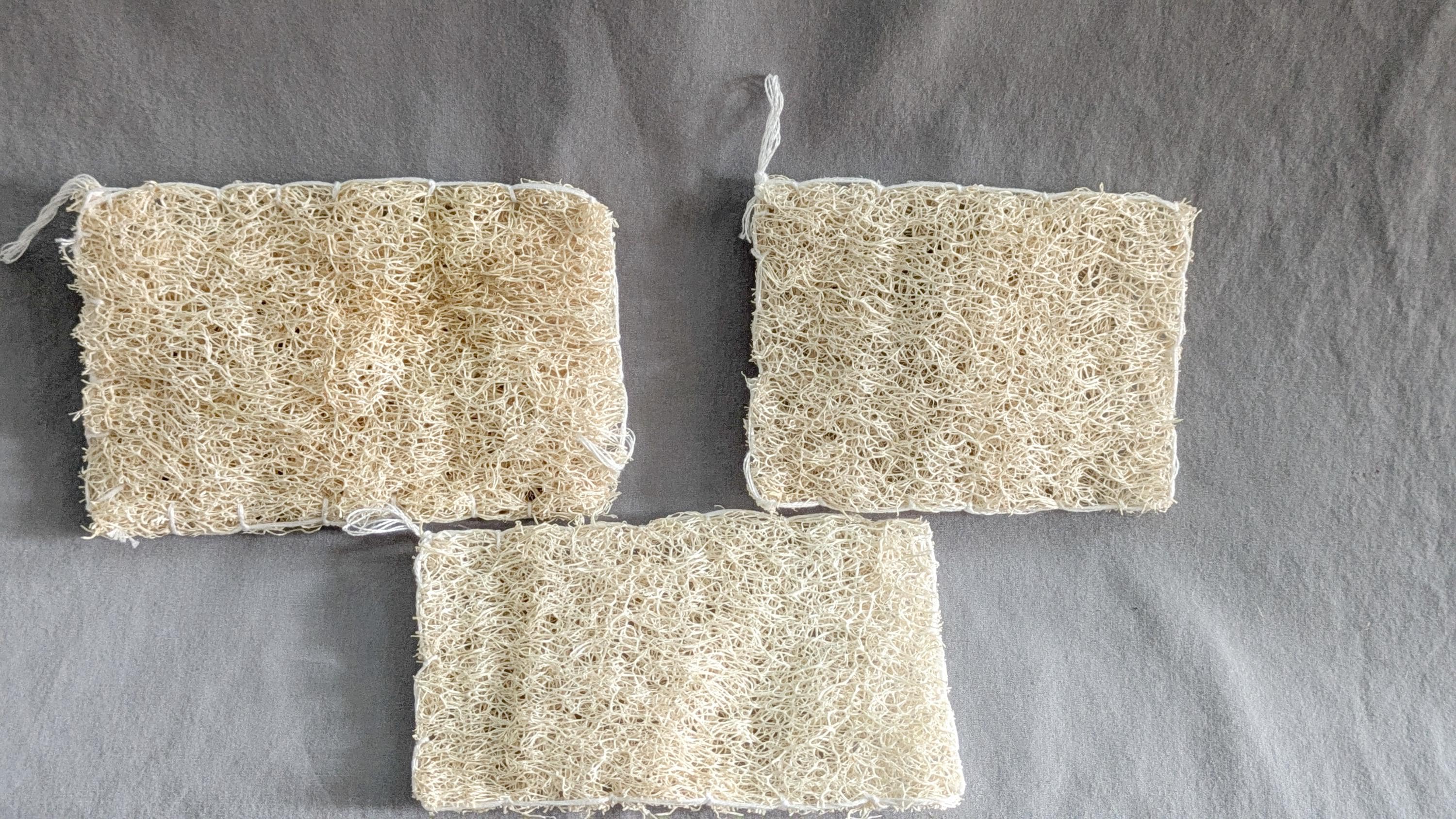 Luffa Sponges Set - Etsy