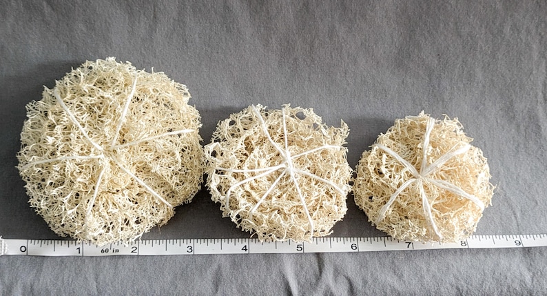 Luffa Sponges Set - Etsy