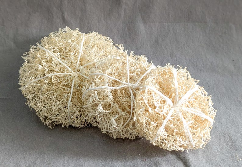 Luffa Sponges Set - Etsy