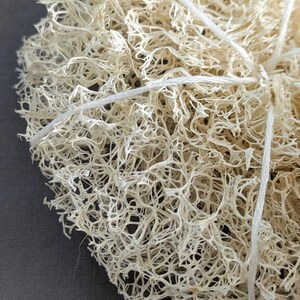 Luffa Sponges Set - Etsy