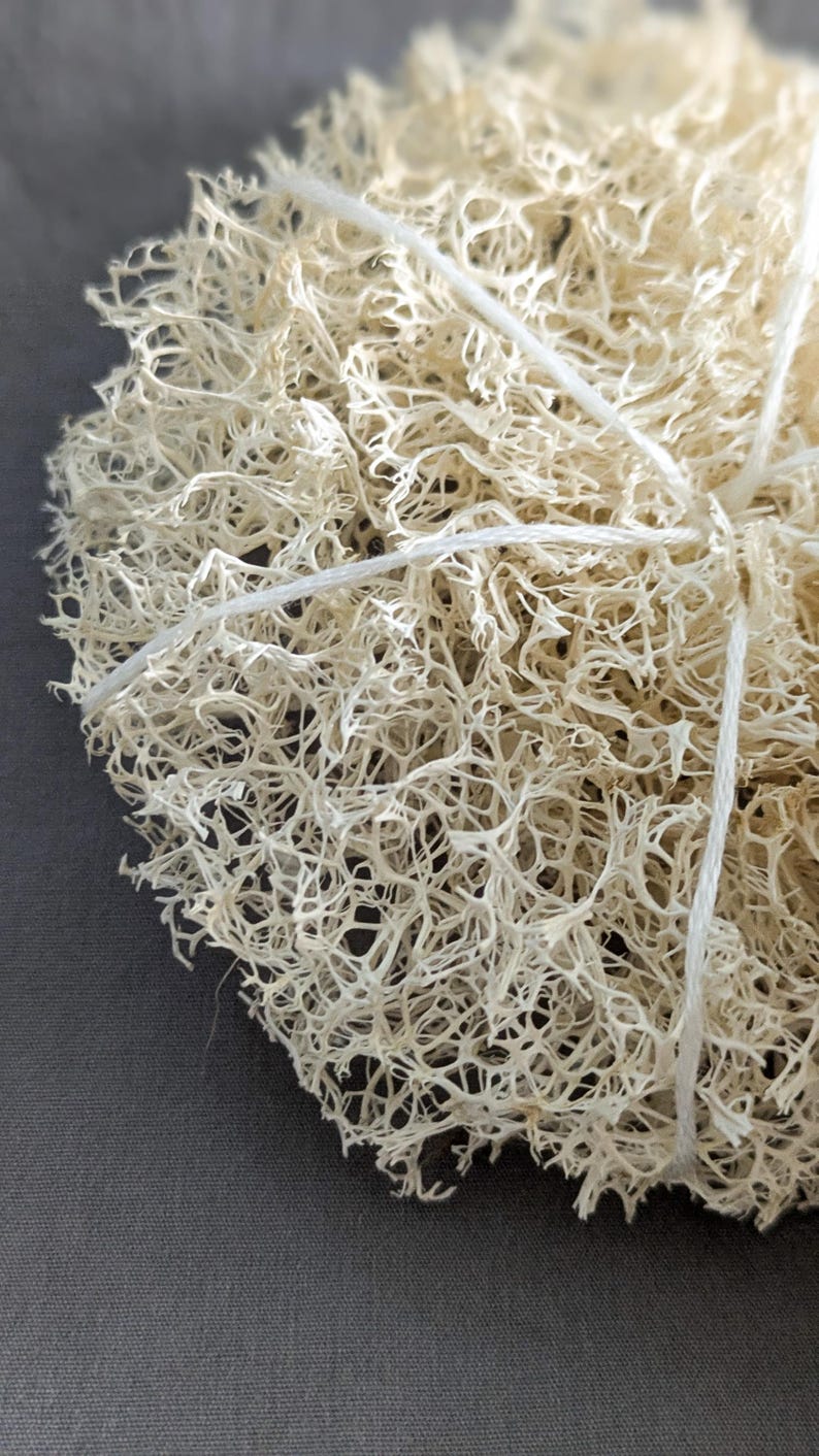 Luffa Sponges Set - Etsy