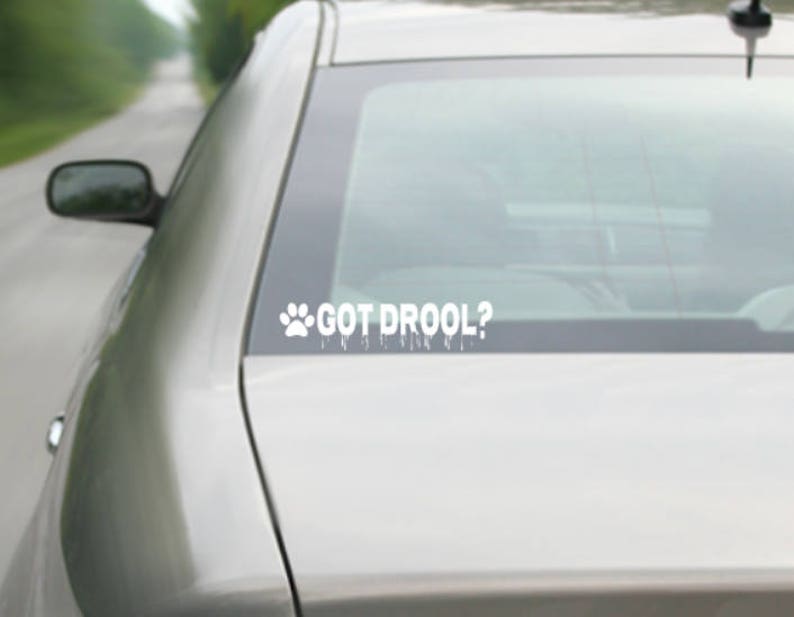 Got Drool Decal Paw Print Decal Big Dogs Drool Laptop Decal - Etsy
