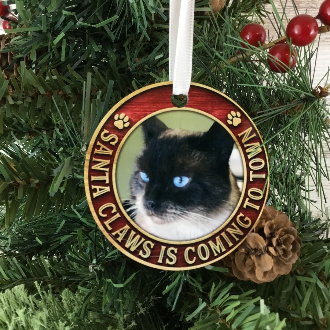 Santa Claws is Coming to Town Cat Picture Christmas Ornament - Etsy