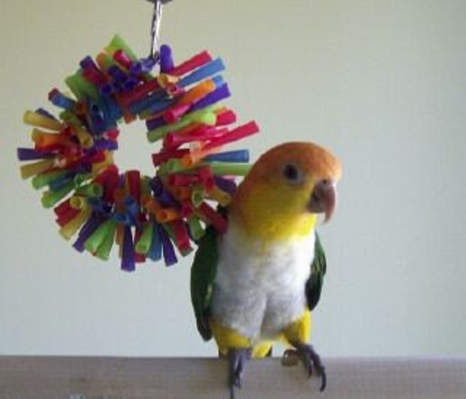 Small Silly Sid Straw Wreath Small Bird Toy - Etsy
