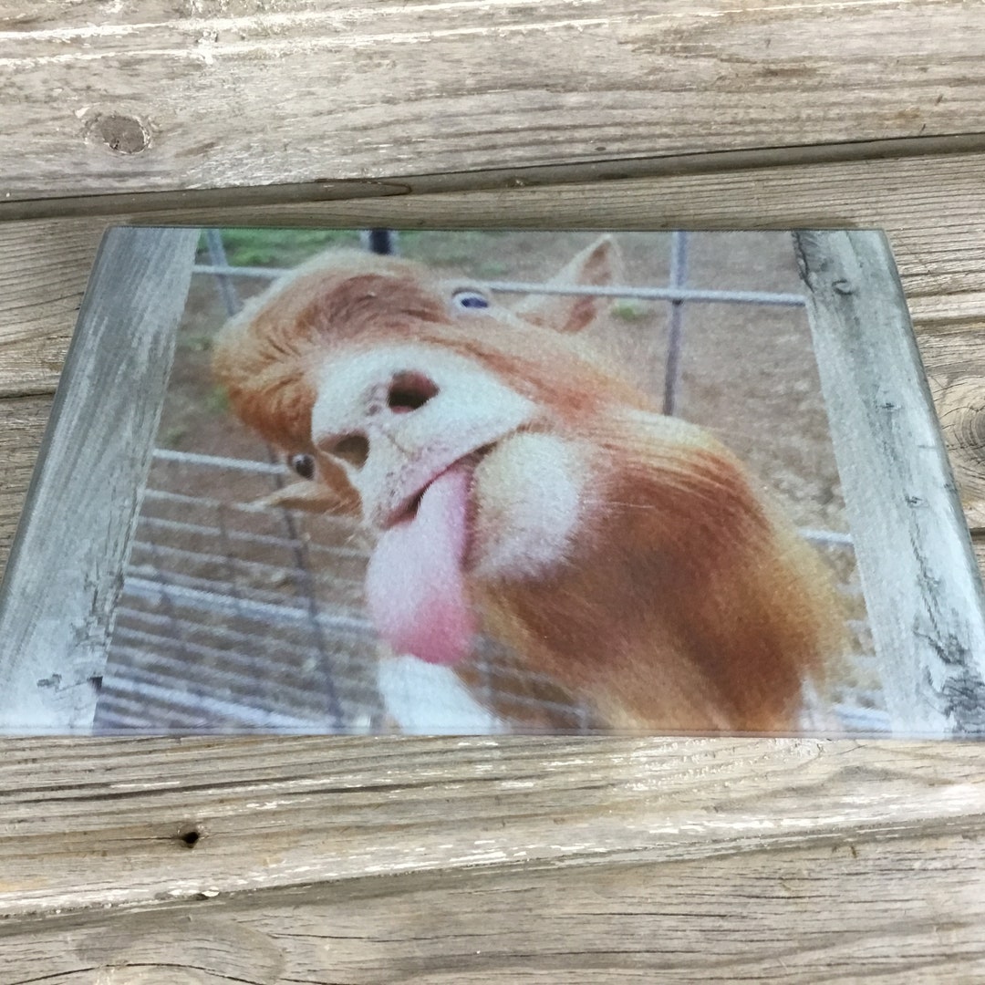 Goat Glass Cutting Board, Kitchen Decor, Housewarming Gift, Farmhouse ...