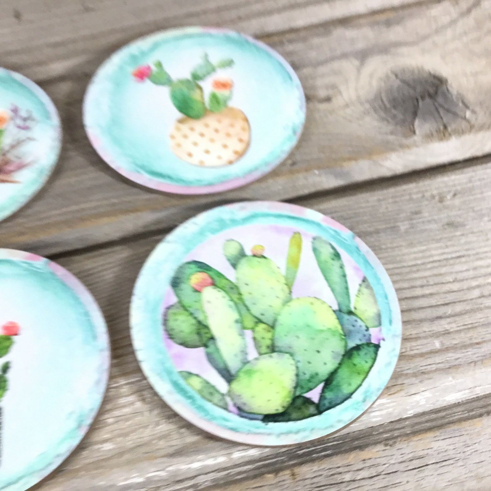 Cactus Hardboard Coasters Set of 4 Coasters - Etsy