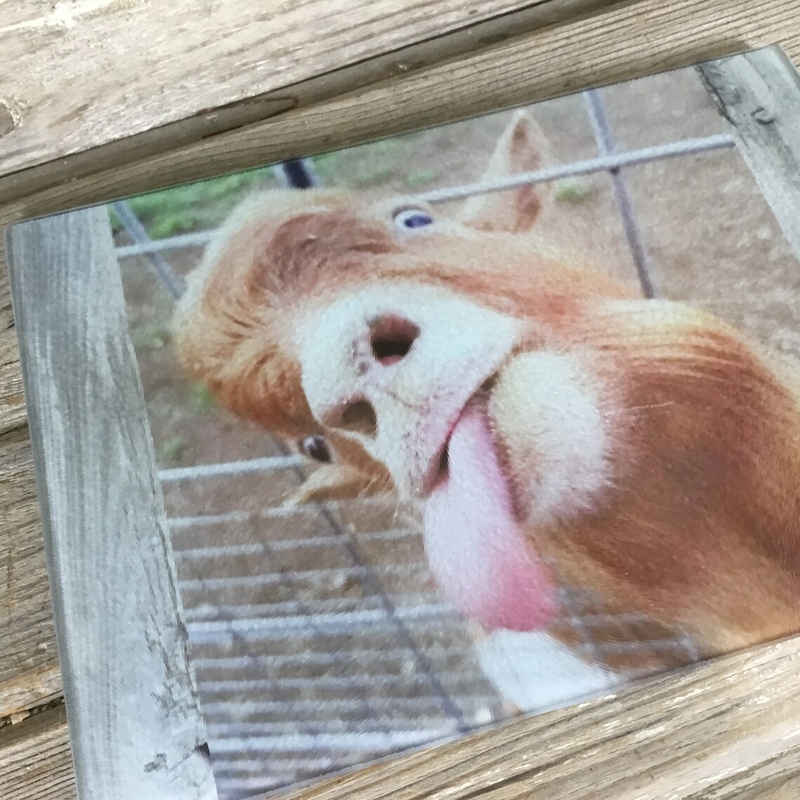 Goat Glass Cutting Board Kitchen Decor Housewarming Gift - Etsy