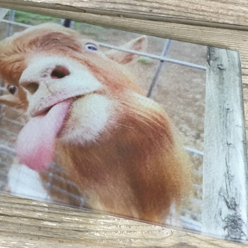 Goat Glass Cutting Board Kitchen Decor Housewarming Gift | Etsy