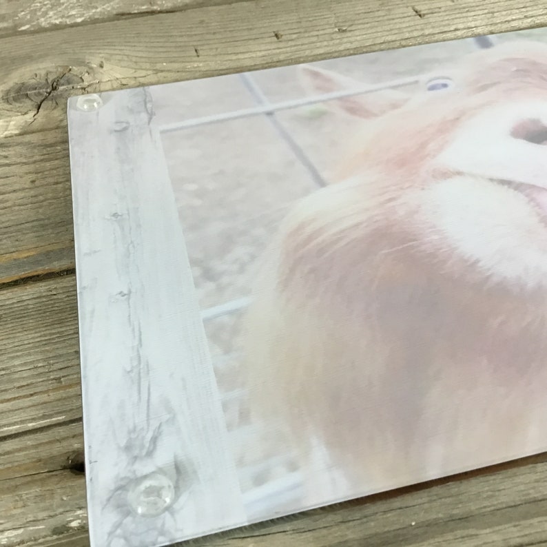 Goat Glass Cutting Board Kitchen Decor Housewarming Gift - Etsy