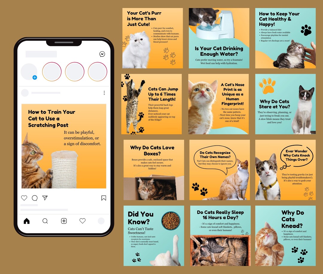 120 Cat Social Post Templates, Pet Posts, Editable Canva Posts ...