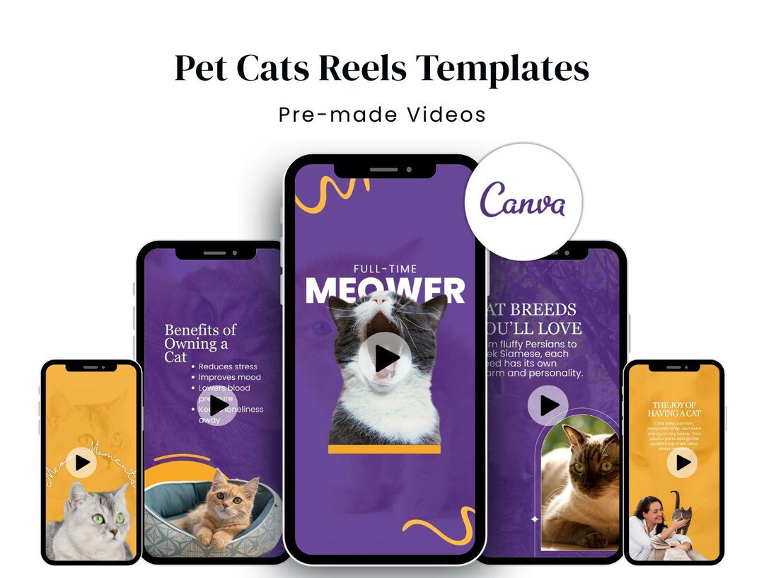 130 Cat Video Reels Template, Cats Reels, Instagram, Tiktok, Youtube ...